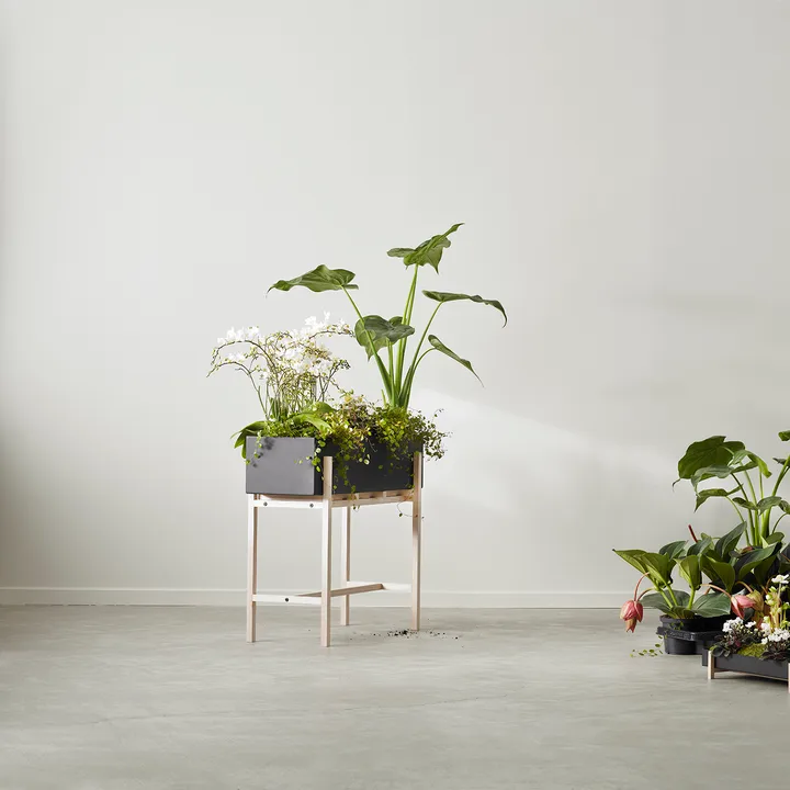 Botanic flower stand - Design House Stockholm → NordicNest.se