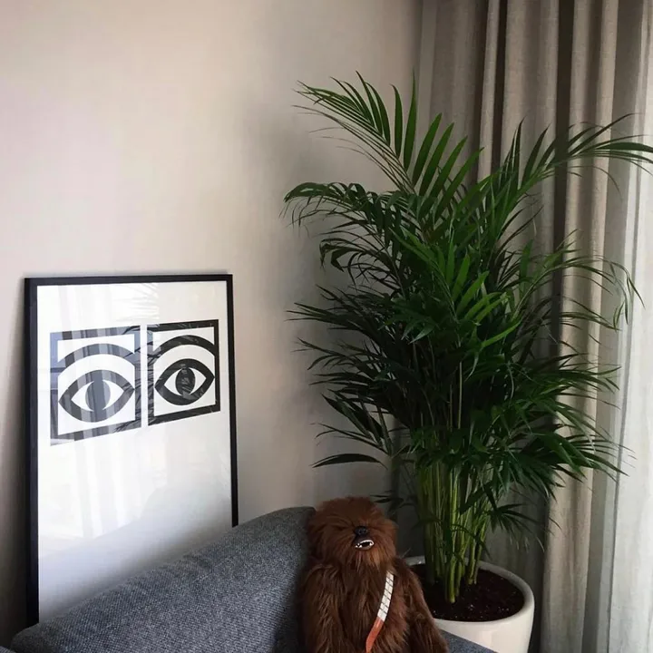 Ögon ett öga poster - Olle Eksell → NordicNest.se